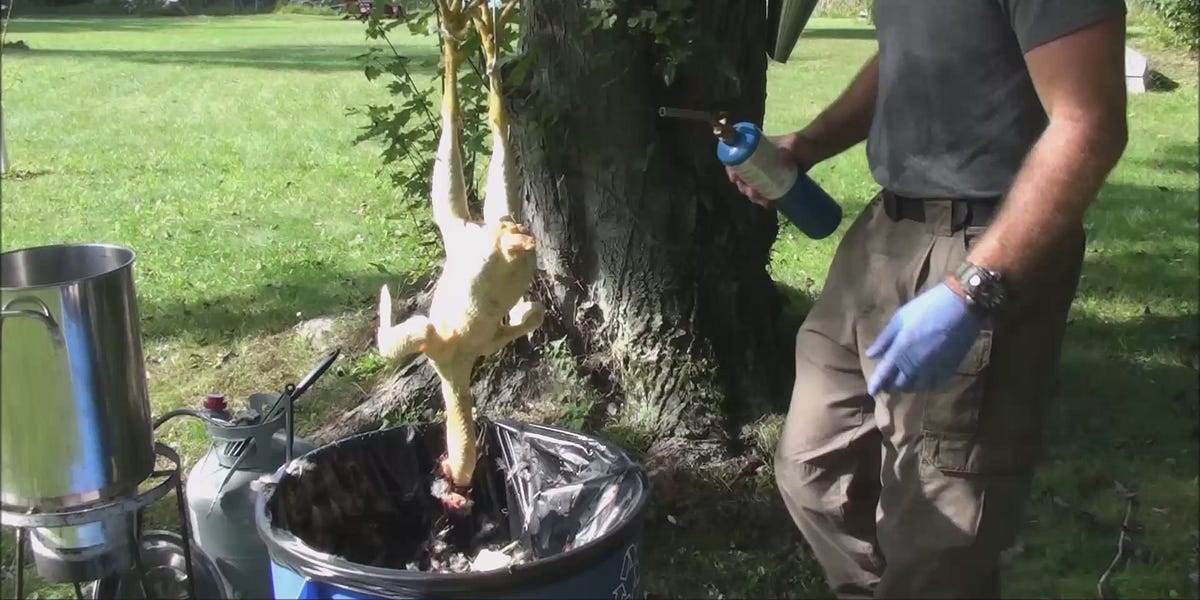 Chicken Slaughter and Butchering Process: Butchering