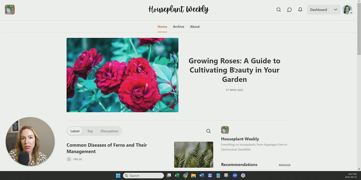 Mastering Post Organization with Tags - Linda's Substack