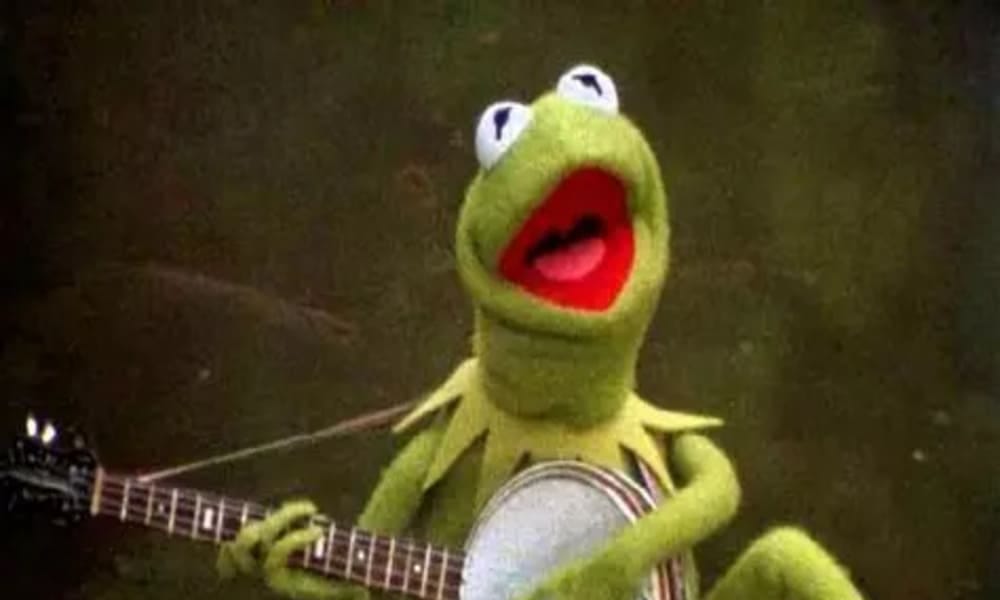 The parable of, "Kermit discovers the theory of everything (TOE)"
