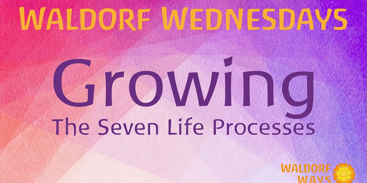 The Seven Life Processes - Growing - Waldorf Ways