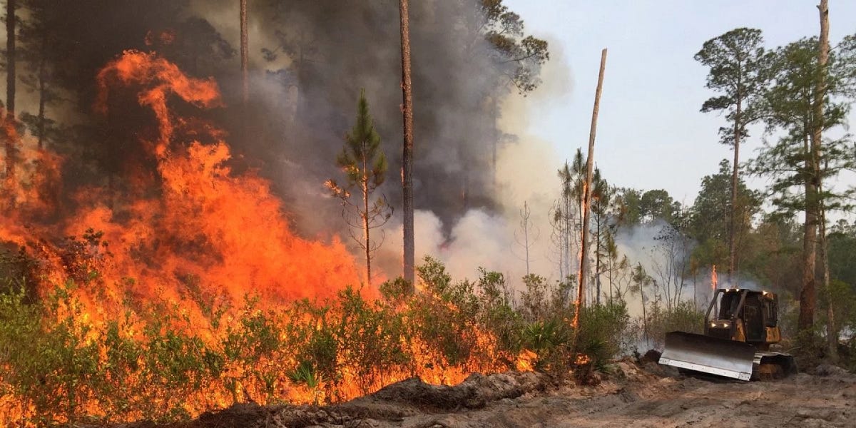 Florida's Fire Season Is Here: Dr. Ludie Bond, PIO For The Florida ...
