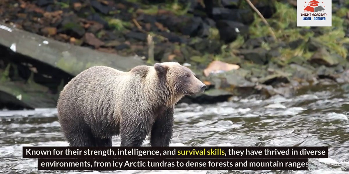 THE RESILIENCE OF BEARS IN THE WILD - by Mujahid Bakht