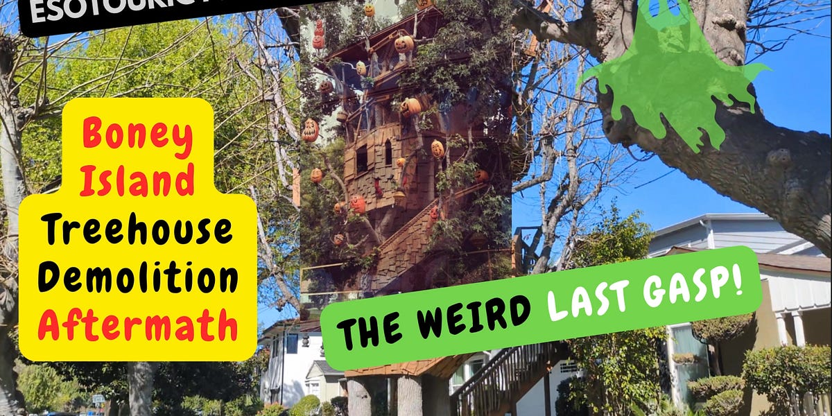 Boney Island Treehouse Demolition Aftermath: The Weird Last Gasp