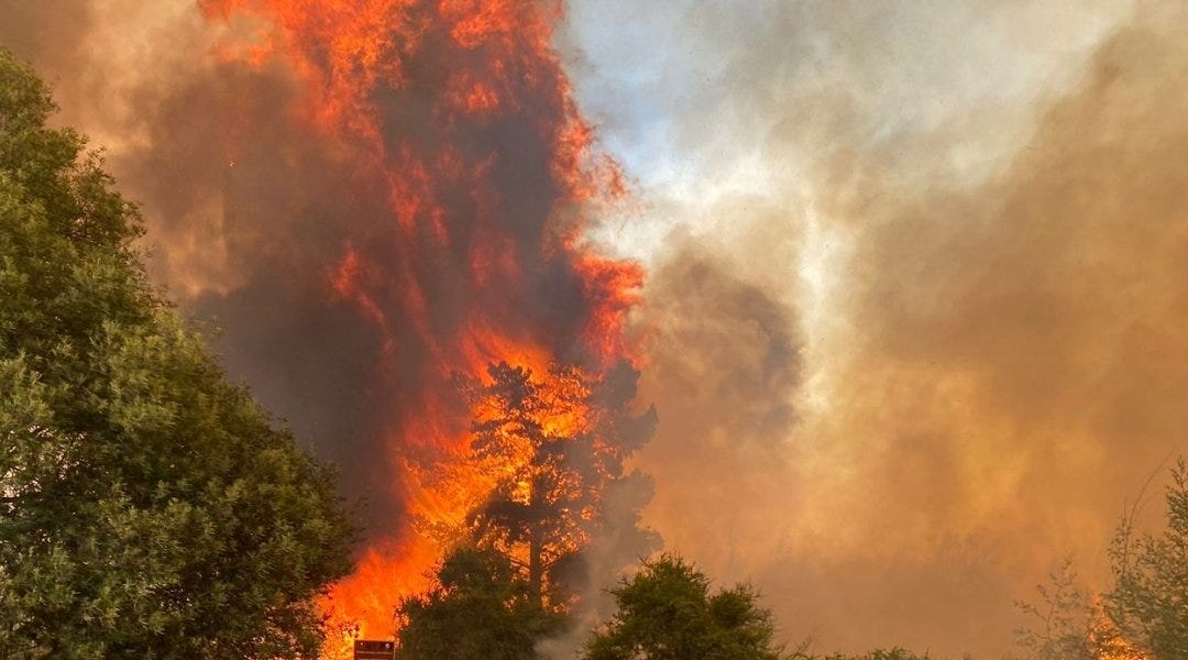 New RIF Plan: Consolidating Regions And Forests, Moving Wildfire ...