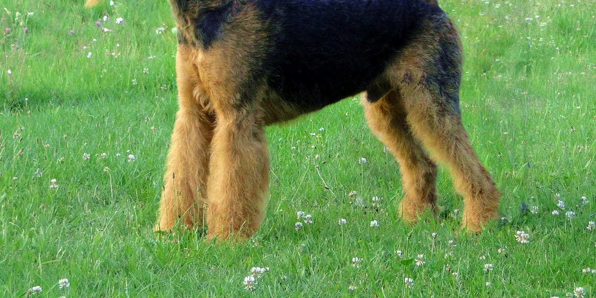 Ep. 207: Living the faith with no political power