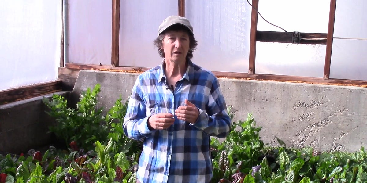 Hybrid vs Open Pollinated Seeds: Which is Better?