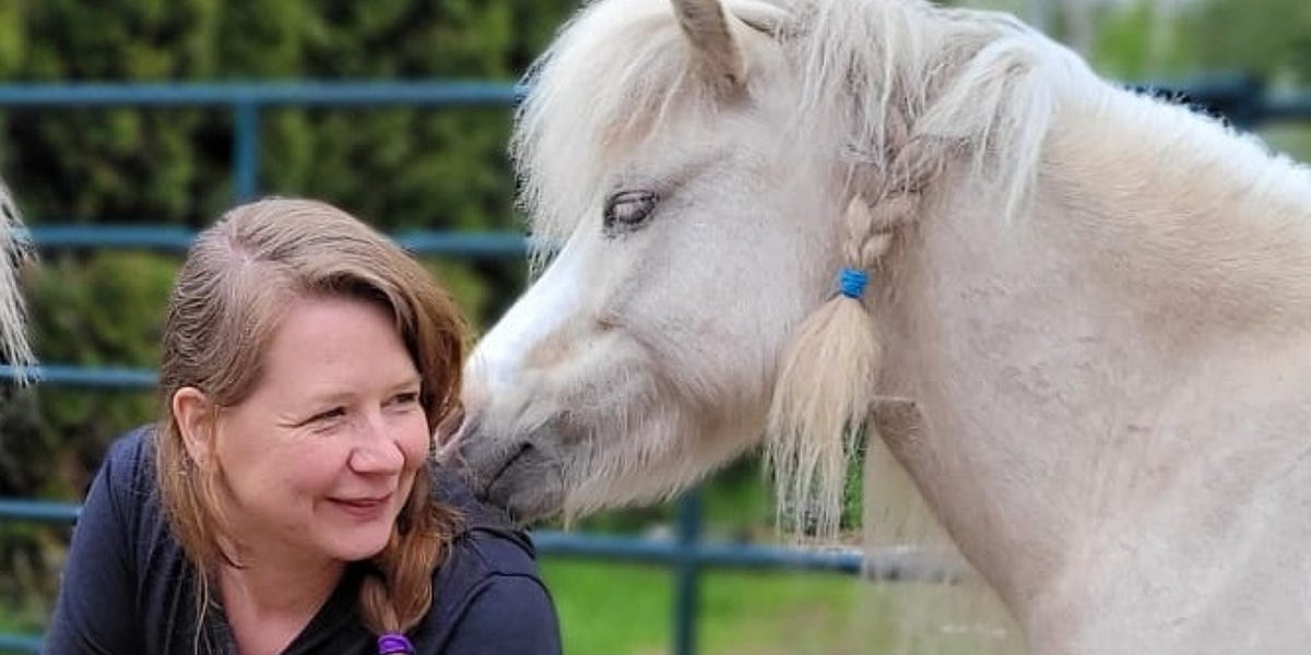 Training Horses with Kindness - Curious Equestrian