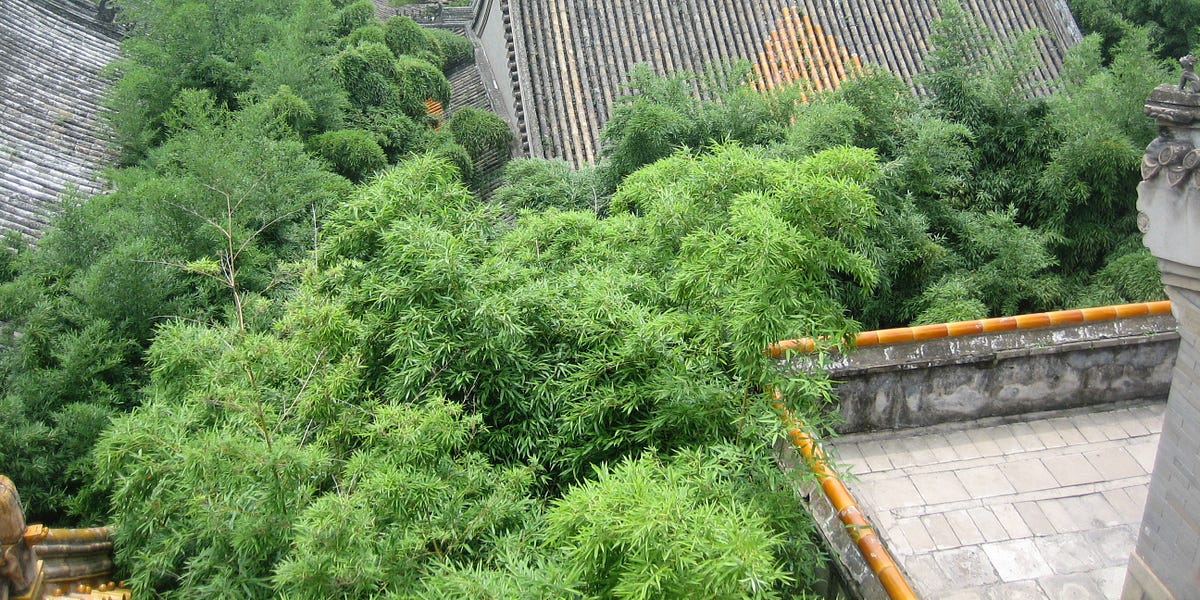 Sharp China: Bessent and an ‘Unsustainable’ Path; Making Sense of ...