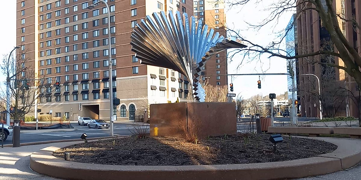 PCS Nation: Shaved Bush Park Report? - PCS Nation