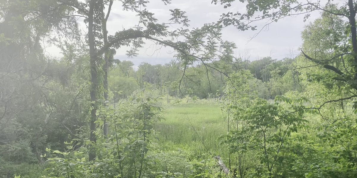 Hawthorne Park Overlook - Marissa Flaxbart's Metaforia
