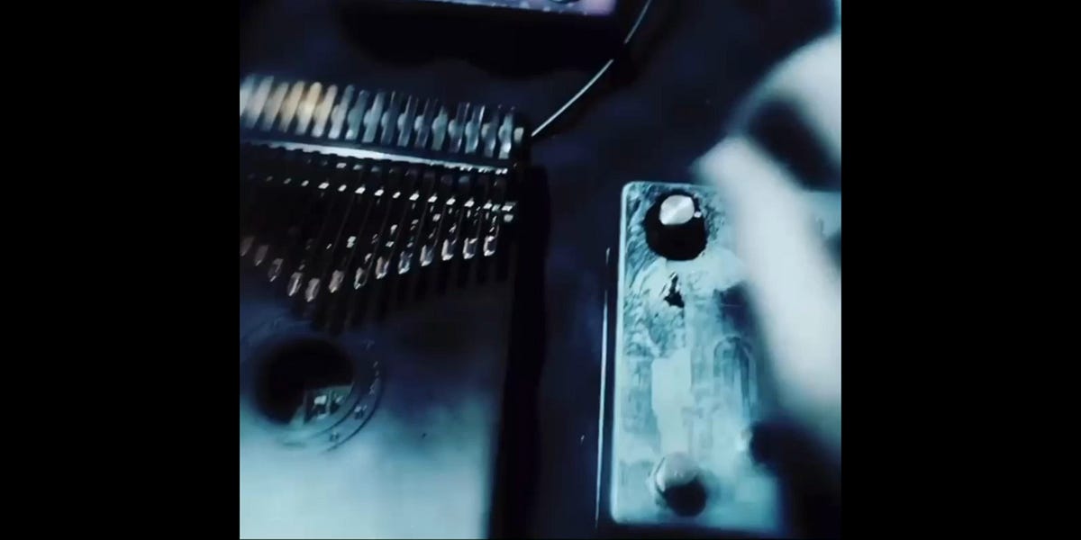 Teaser | Signs of the Zodiac | Leo | Cato Gilmour