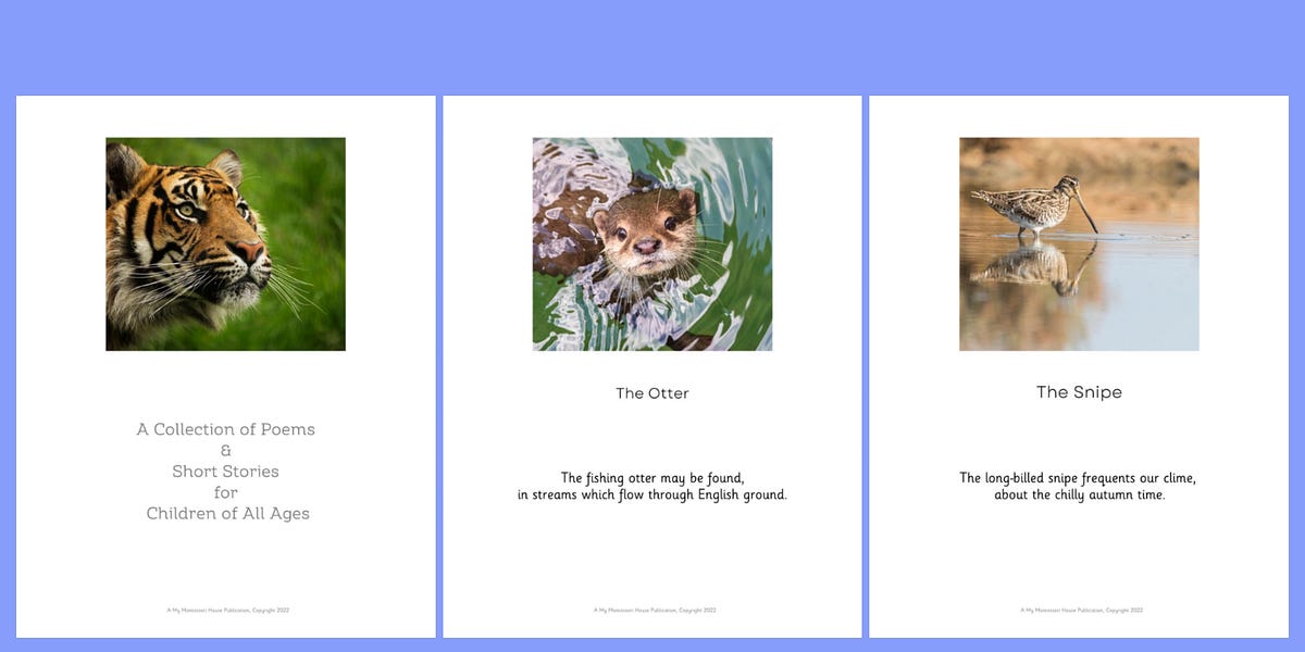 My Collection of Poems & Short Stories - by Mercy