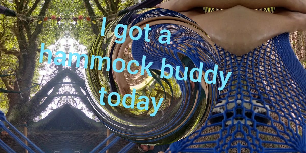 Hammock Happenings By Sheila Preston Ford