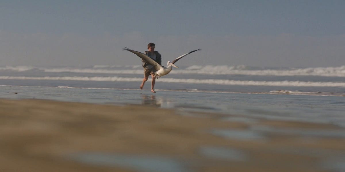 Free Movie Month - Special Invitation - by Andrew Kooman