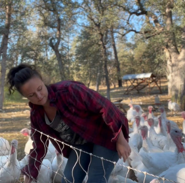 Hey, come feed turkeys with me... - by A. L. Bork, DVM