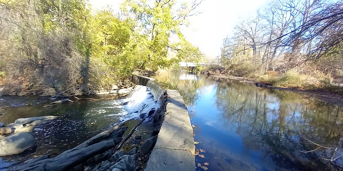 The Bronx River Report - PCS Nation