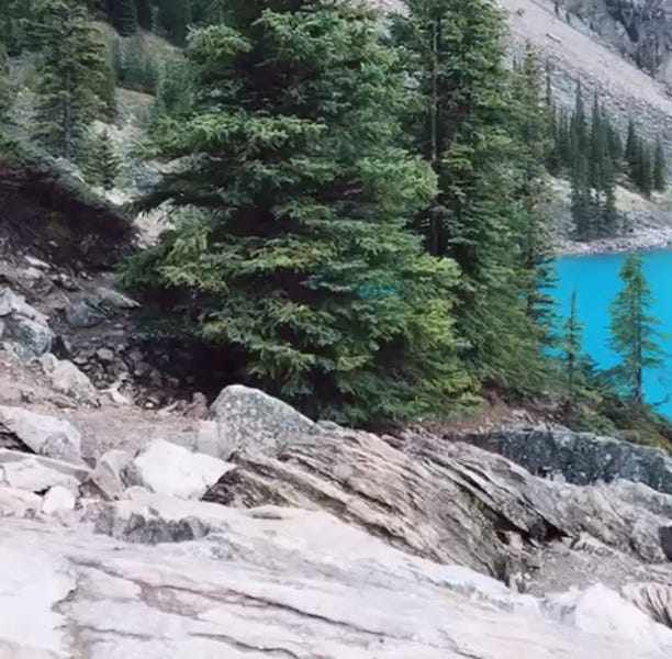 Nature vs. Civilization - by Jack Everly - The Mighty Pen