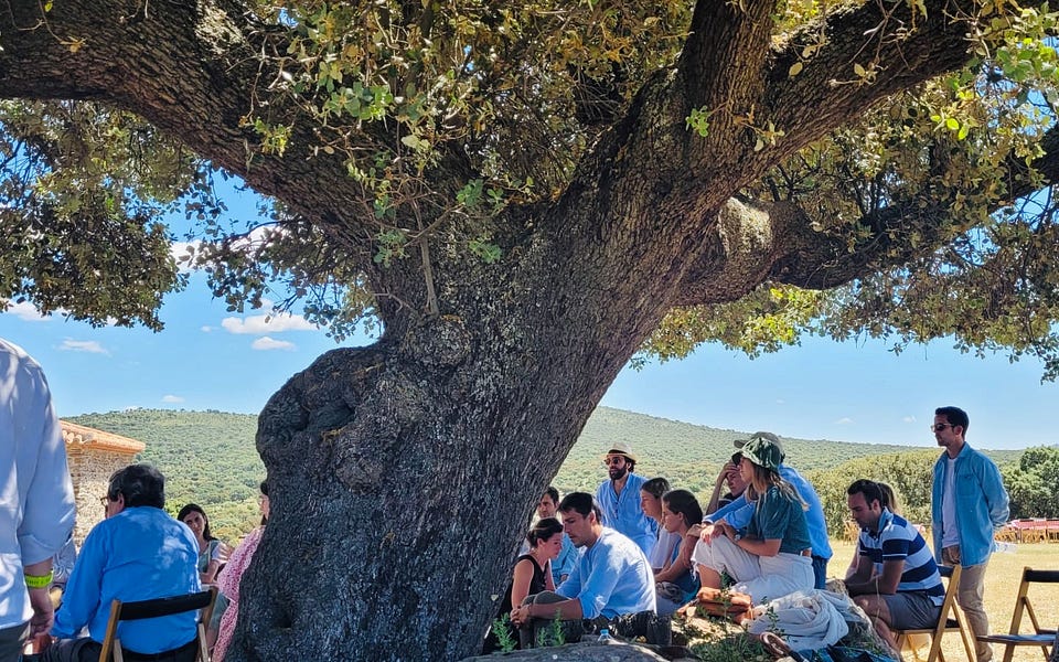 Y la belleza, ¿para qué? - by Helena Farré Vallejo