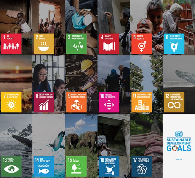 Understanding the United Nations Sustainable Development Goals & How ...