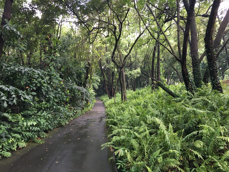 The tyranny of choice - by Isaac Teo - Interiority