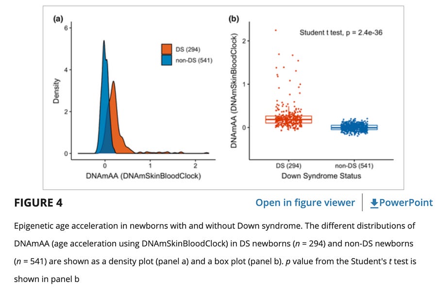 Prenatal epigenetic age acceleration in Down syndrome
