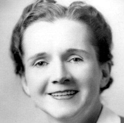 Rachel Carson - by Helen Gibbons & Stuart Wiffin