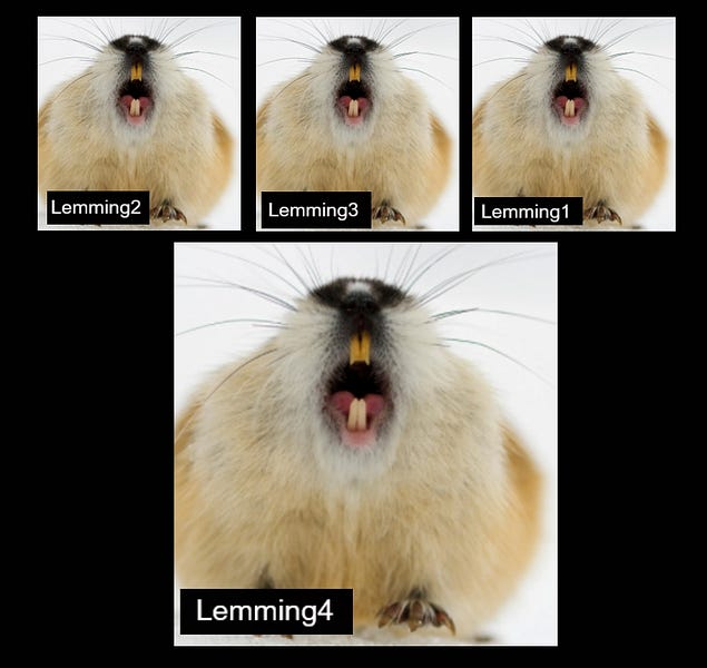 Sometimes Lemmings Give You Lemons.