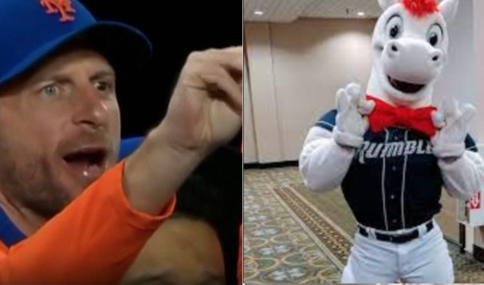 You wish you were a Rumble Pony - Willets Pen