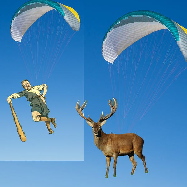 Anxious Deer and Immortality - by Emmy St. Pierre