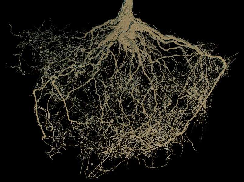 Roots and Prestige in Christian Culture