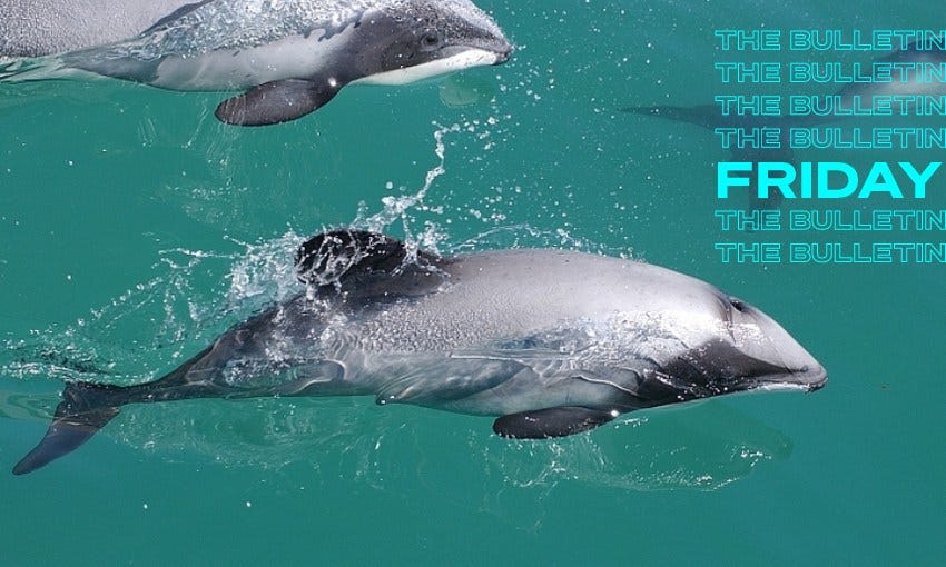 Beneath the surface of budget headlines - by The Spinoff