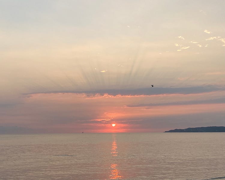 Embodied Writing - by Susannah Rigg - Write As You Are