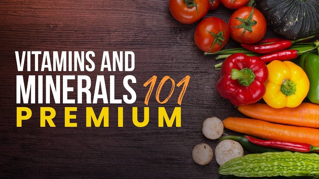 Vitamins and Minerals 101 Premium