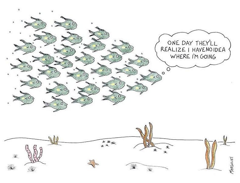 Mental Models: Use First Principles to Rebuild Beliefs