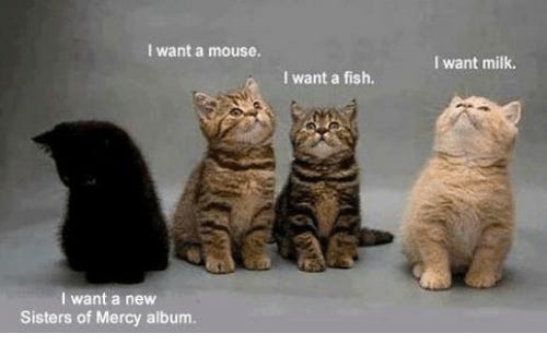 An Open Letter To Doktor Avalanche, The Drum Machine Of The Band The ...