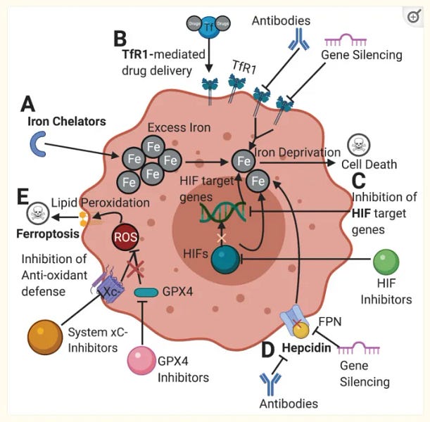 Repurposing of the antibiotic Doxycycline as an antiviral and anti ...