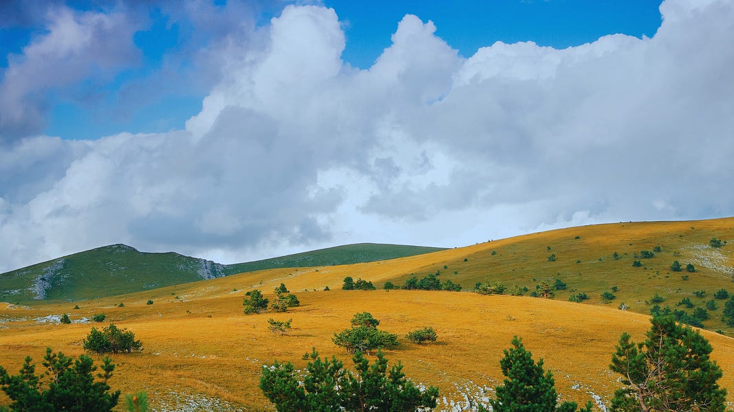 Chapter 6: The Marracht - by Effy J. Roan