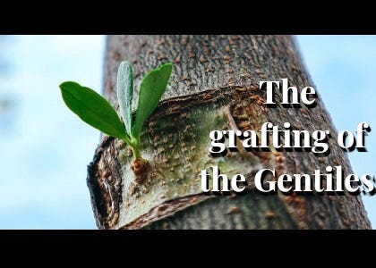 The grafting of the Gentiles - by Tony - Christ Our Glory