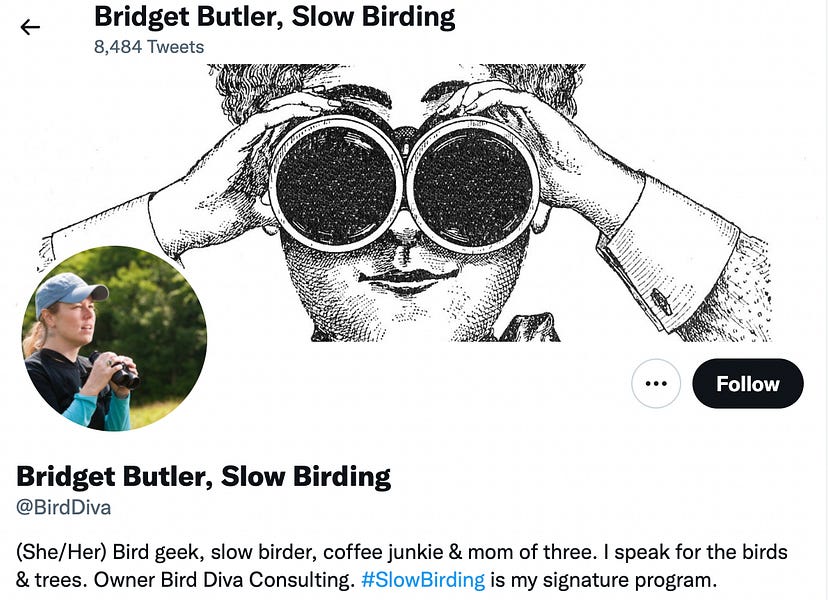 Slow Birding: Interview with Bridget Butler
