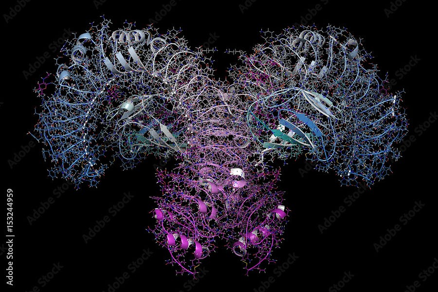 SARS-CoV-2 Spike aggregation and LPS - by John Paul
