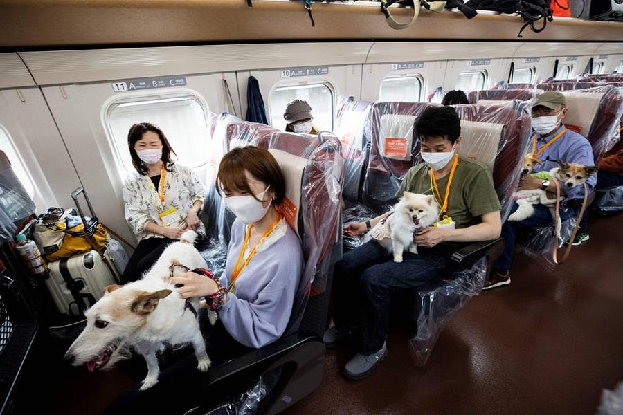 Japan Leads the way with the World's First Dog-Train