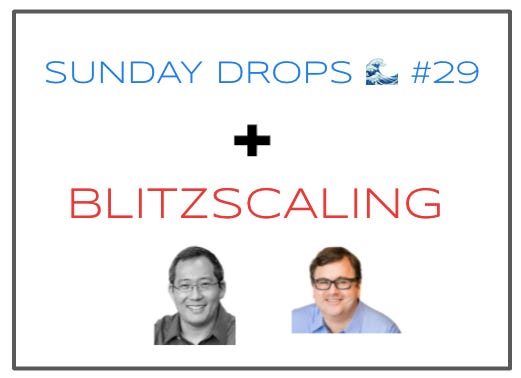 Blitzscaling é aplicável para sua empresa?