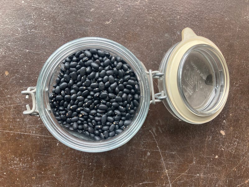 planting seeds - by Corn Lily - compost