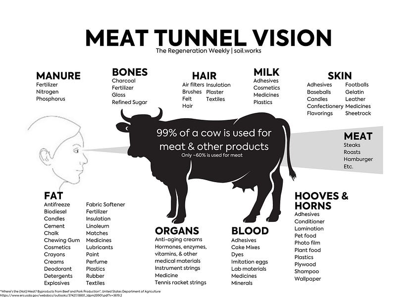 Mooving Beyond Meat Tunnel Vision - by Meg Chatham