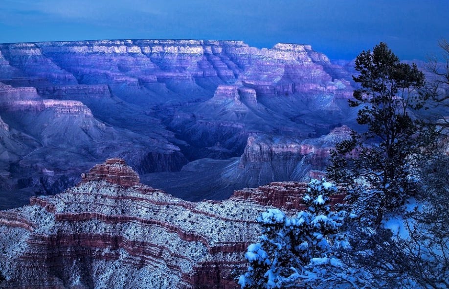 What Vanguard’s withdrawal from the NZAMI really means