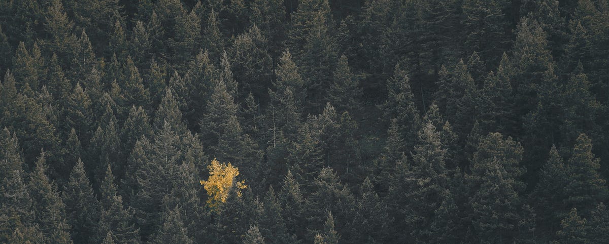 Ridiculous Is The New Remarkable - by Matt McPheely