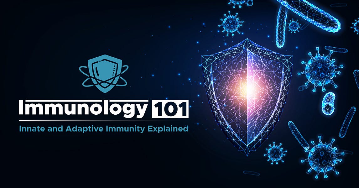 Immunology 101: Innate and Adaptive Immunity Explained