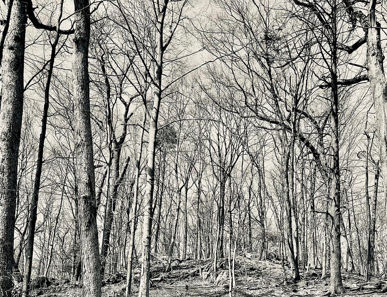 ‘It’s Not Nice to Fool Mother Nature,’ China to Reopen Borders, and ...