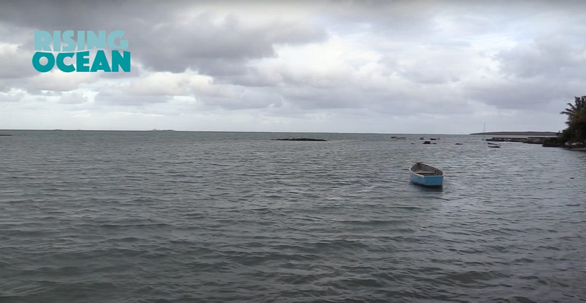 There's still oil in the water - by Ariel Saramandi