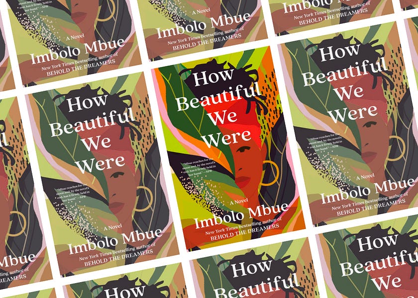 Book #11: How Beautiful We Were - by Jess Schreibstein